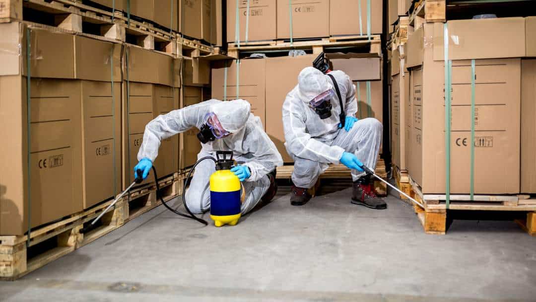 Storage Areas & Warehouses Nuisance Animal & Pest Damage - ecoPest ...